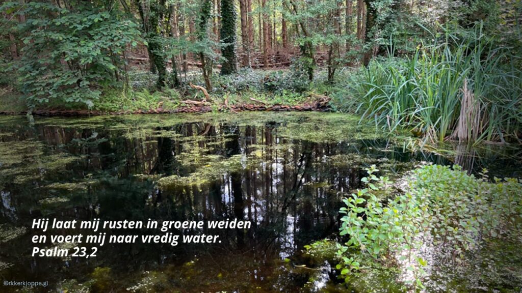 Hij laat mij rusten, Psalm 23,2 - RK Kerk Joppe